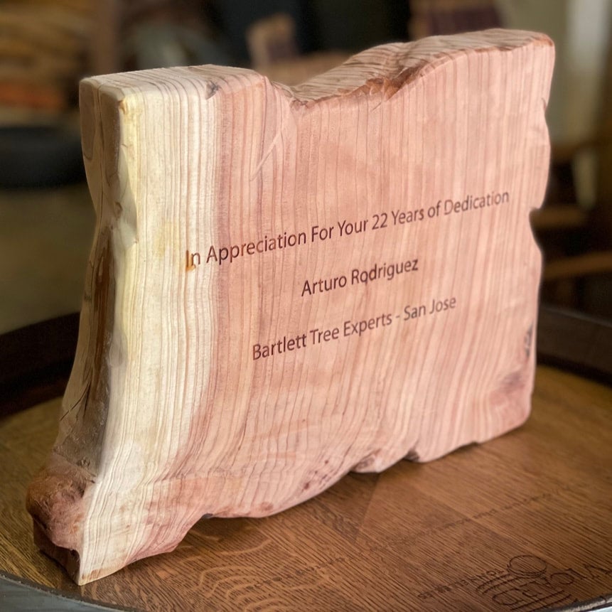 Redwood Slab Design | Barrel Dreams Inc.